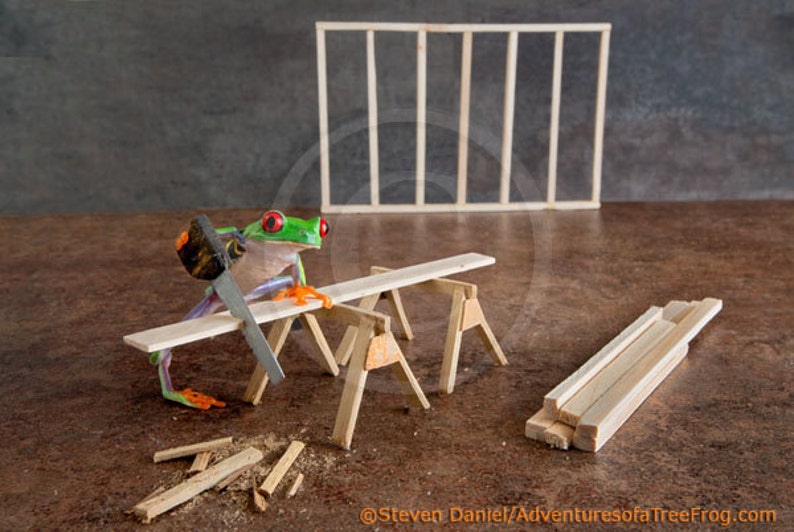 Carpenter Frog Doing Construction House Building Wood Working - Etsy