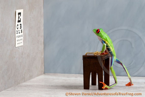 Eye Exam Eye Chart Frog Taking Eye Test Eye Doctor | Etsy