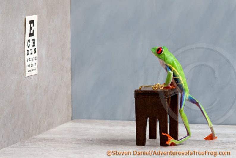 Eye Exam Eye Chart Frog Taking Eye Test Eye Doctor | Etsy