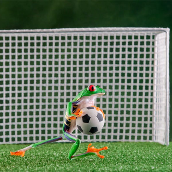 Soccer Wall Art' - Etsy