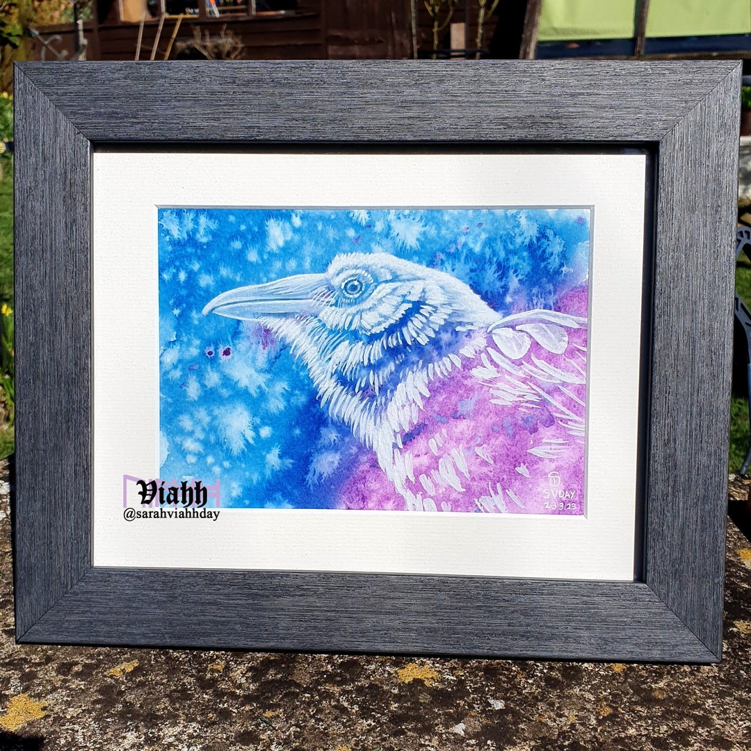 Original Framed Snowy Albino Raven Crow Icy Watercolour Painting - Etsy
