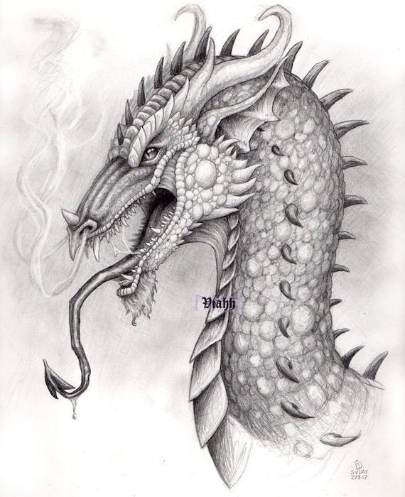 1x blank snarling dragon postcard | Etsy