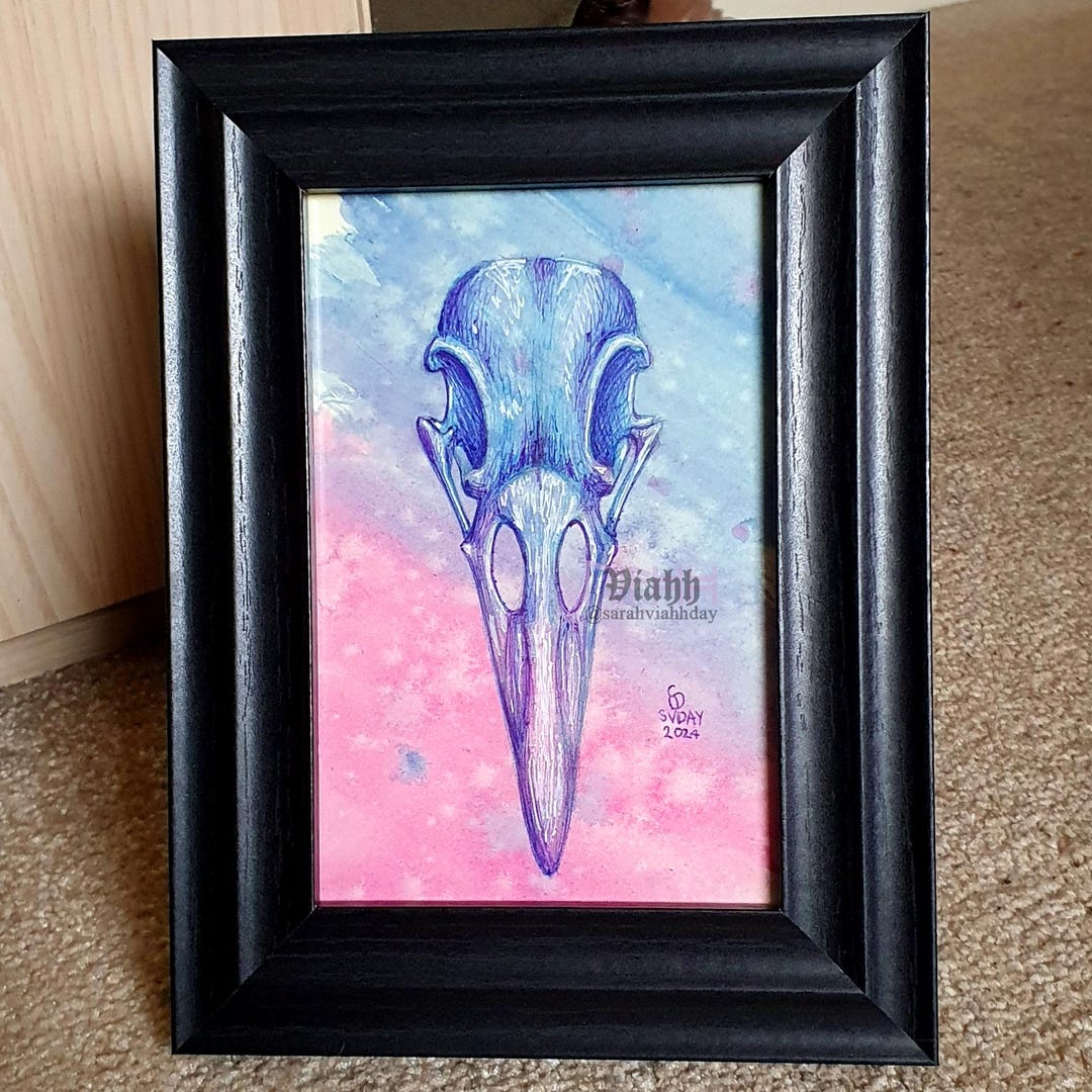 Raven Skull Original Watercolour and Ink Painting in Blue and Magenta ...