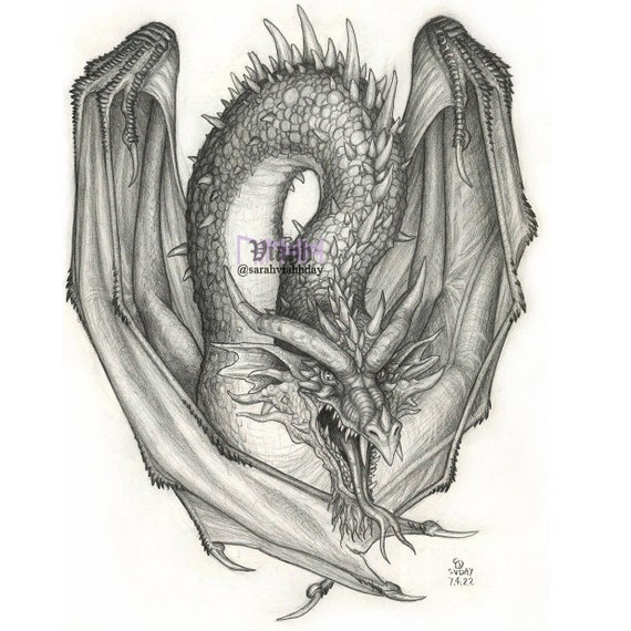 Dragon Head Pencil Drawings