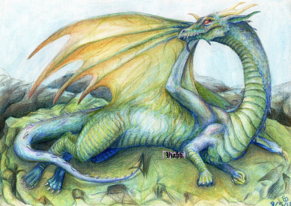 1x Blank Dragon Postcard draw Me Like One of Your French Dragons - Etsy