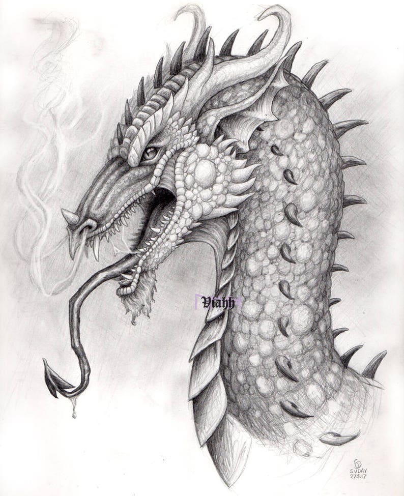 Top Quality A5 Art Print snarl Drawing 310gsm - Etsy UK