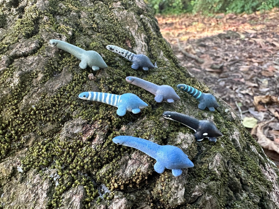 Baby Plesiosaur Figure - Etsy