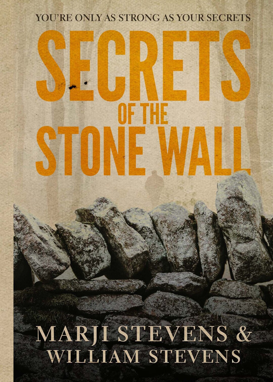 Book Secrets of the Stone Wall Mystery Fiction Adventure for - Etsy