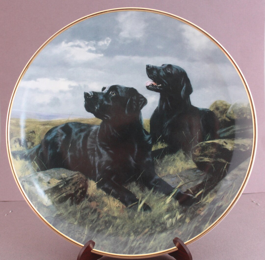 Ready to Go Bone China Plate Royal Doulton Franklin Mint - Etsy