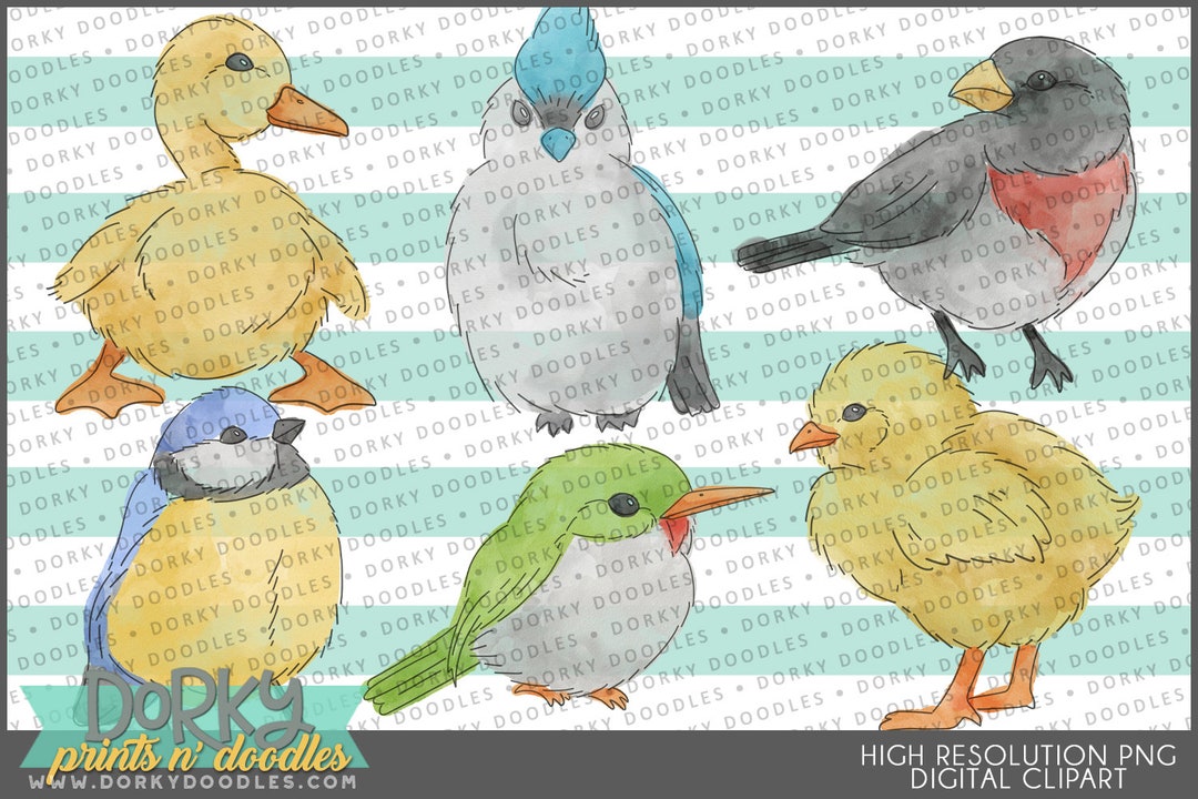 Realistic Birds Clipart -personal and Limited Commercial Use- Cute ...