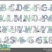 Shark Alphabet Clipart PNG Art Instant Download Numbers, Letters, Font ...