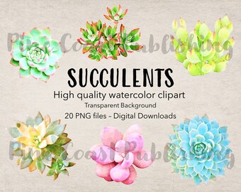 Watercolor Succulents Hand Painted Clipart Illustrations Clipart ...