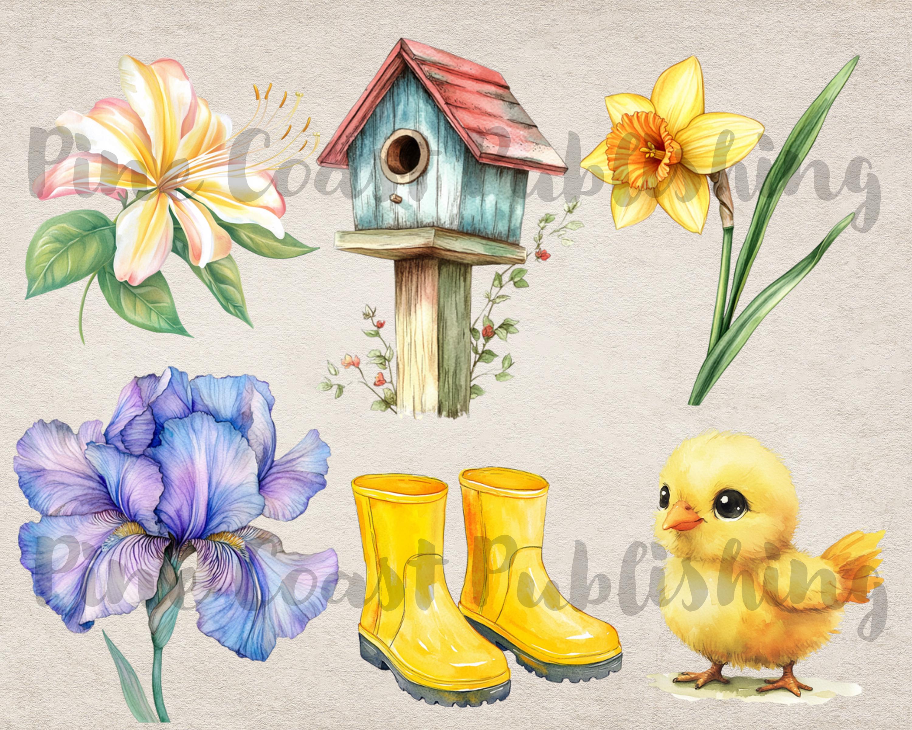 High Quality Watercolor Clipart - Spring - Etsy