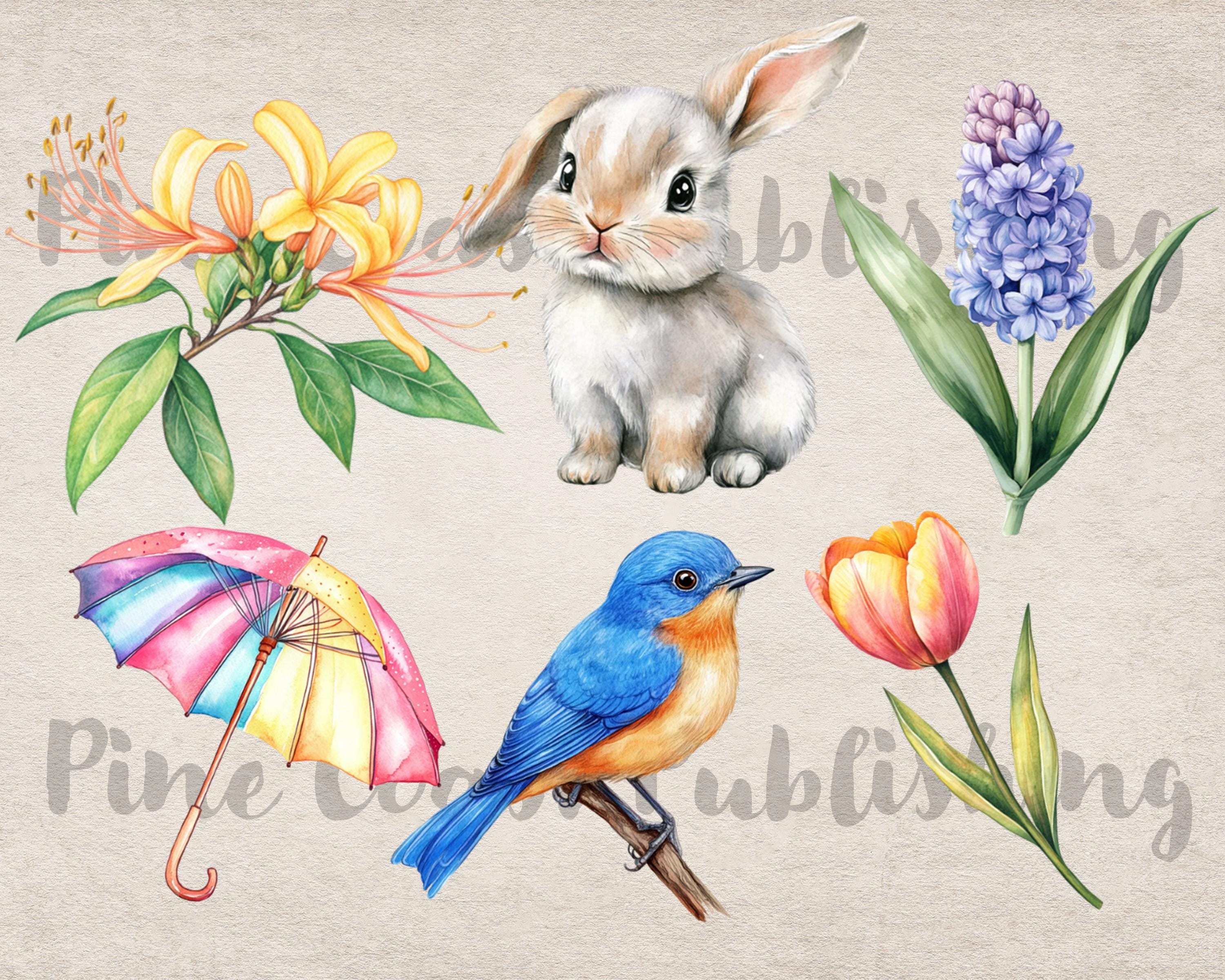 High Quality Watercolor Clipart - Spring - Etsy
