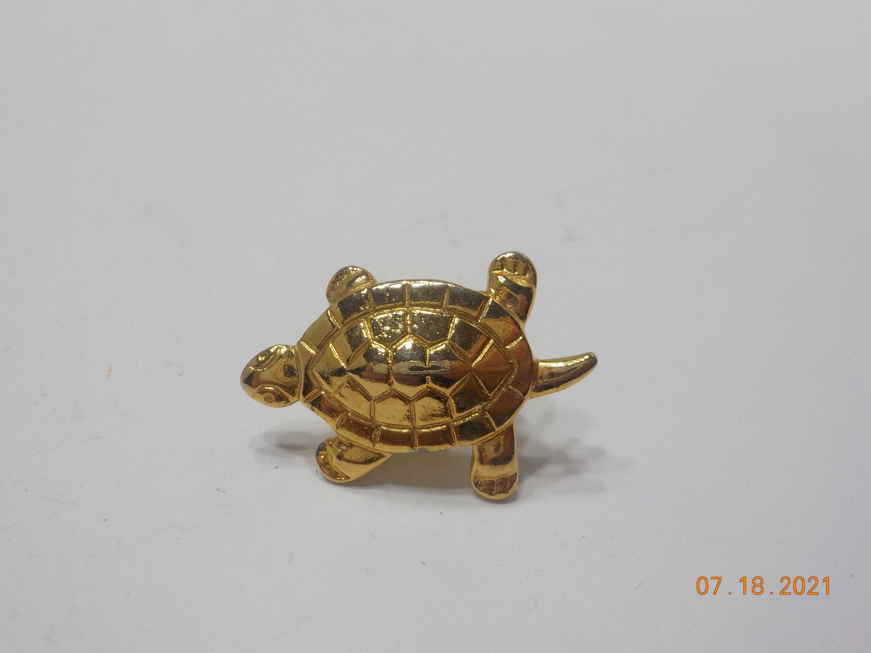 Colin Kaepernick Turtle