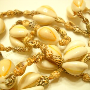 Vintage 35" Cowrie Shell & Tiny Coffee Bean Trivia Shells Necklace ...