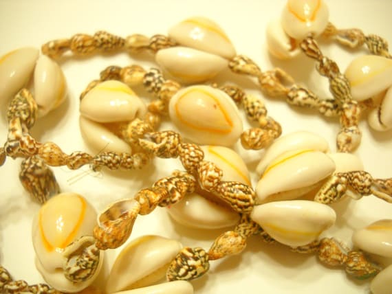 Vintage 35" Cowrie Shell & Tiny Coffee Bean Trivia Sh… - Gem