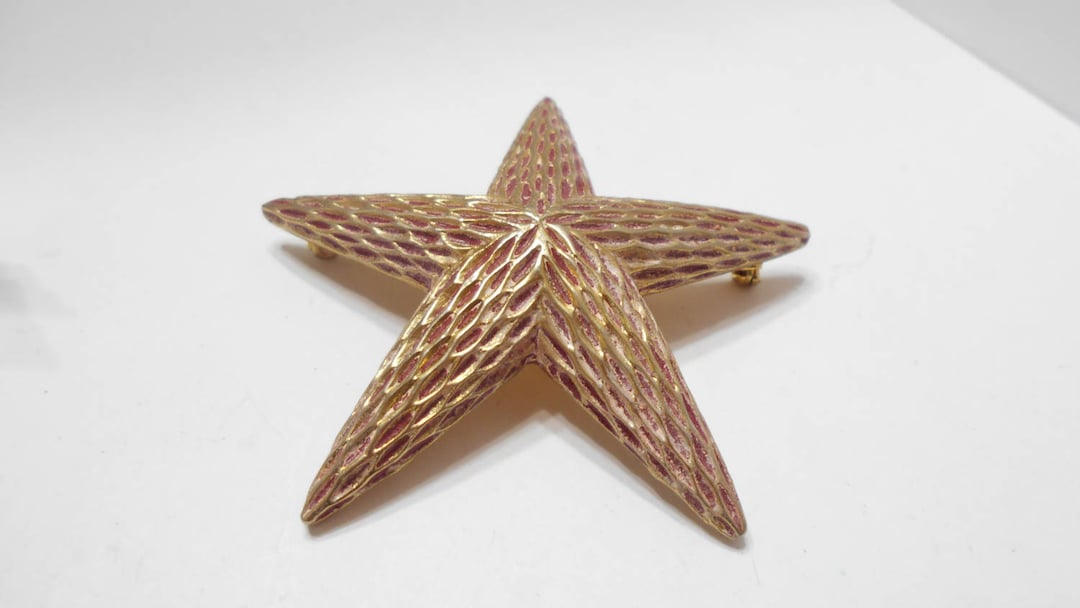 Vintage BSK Gold Tone & Red Enamel Star Brooch (5972) - Etsy