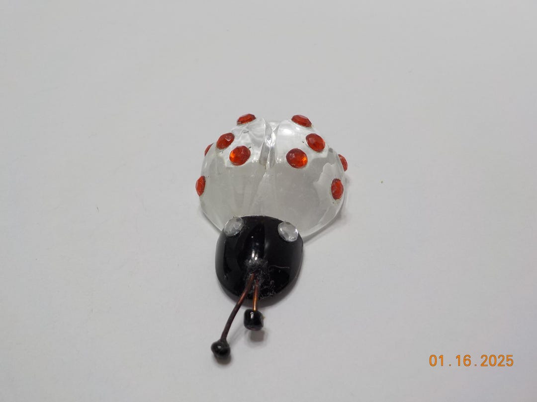 Vintage Small Lucite Ladybug Paperweight (2139) Ladybug Collectors Item ...