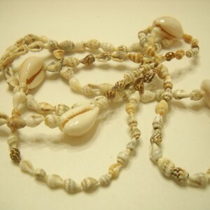 Vintage Tiny Conch Sea Shell Necklace (1610) 34" Long - Etsy