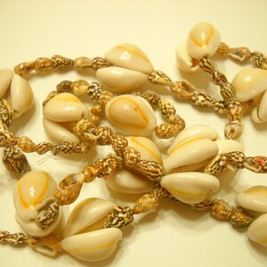 Vintage 35" Cowrie Shell & Tiny Coffee Bean Trivia Shells Necklace ...