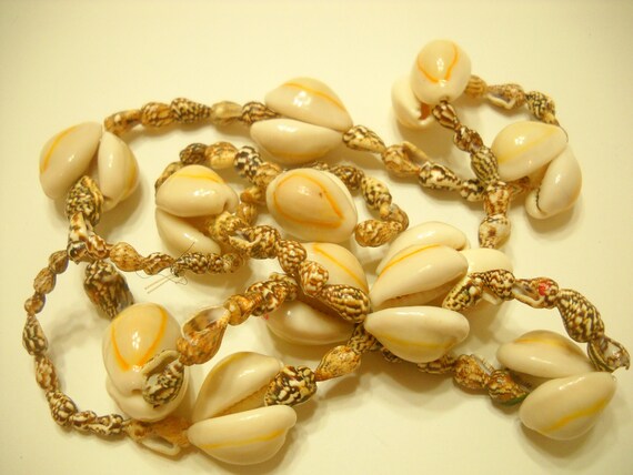 Vintage 35" Cowrie Shell & Tiny Coffee Bean Trivia Sh… - Gem