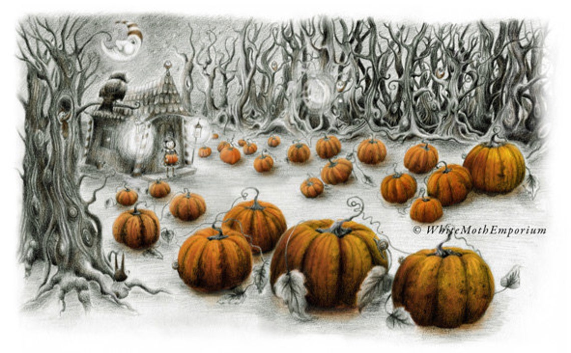 I Love Pumpkins Childrens Book Illustration Halloween - Etsy