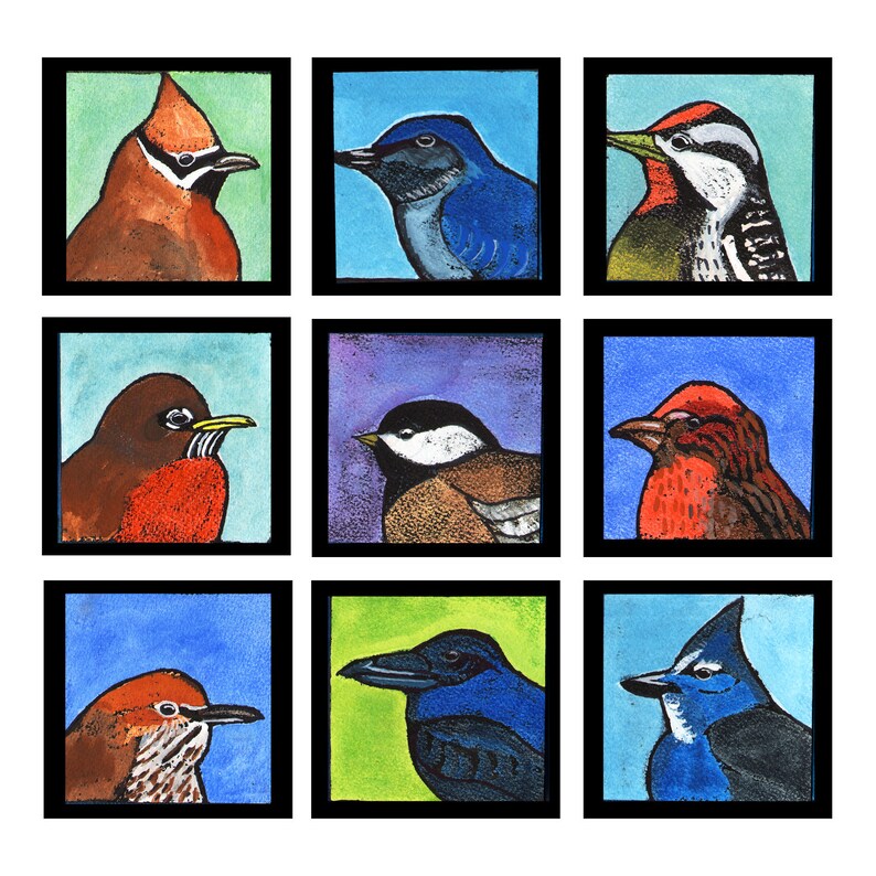 BIRD Greeting Cards BOXED Set for Bird Lovers | Etsy