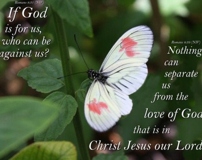 Nothing Can Separate Us From God's Love Butterfly Scripture Art Romans ...