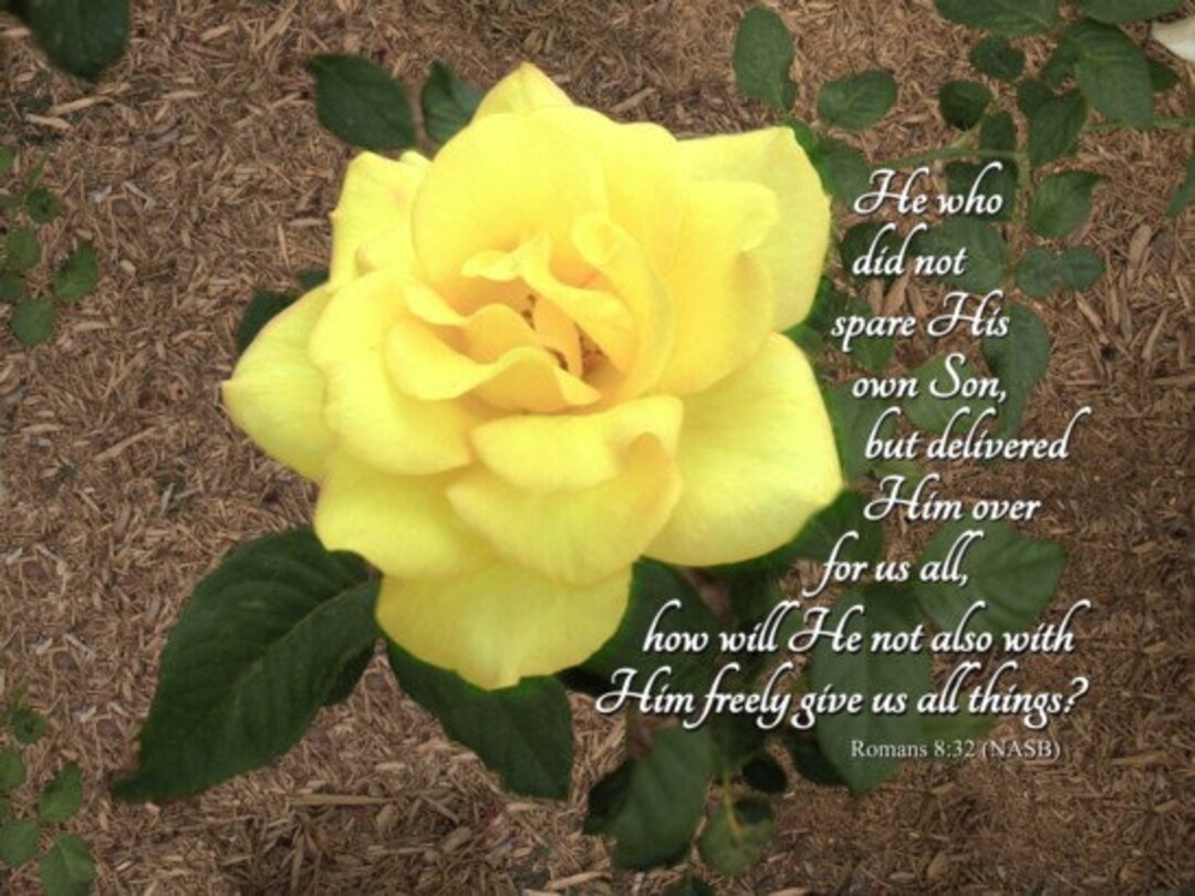 One of God's Wonderful Promises to Provide Everything is Romans 8:32 ...