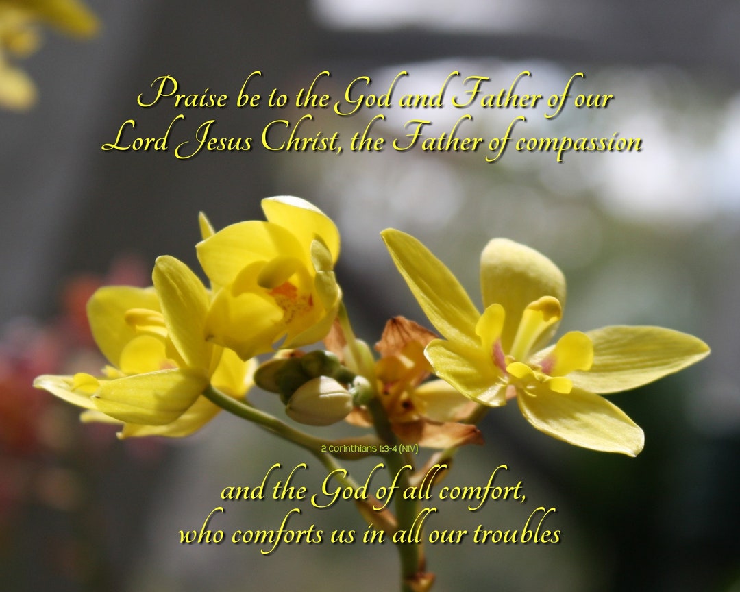 God Comforts You - 2 Corinthians 1:3-4 (NIV) - Yellow Flower Scripture ...