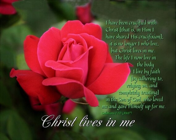 Christ Lives in Me Scripture Art Galatians 2:20 AMP Red - Etsy