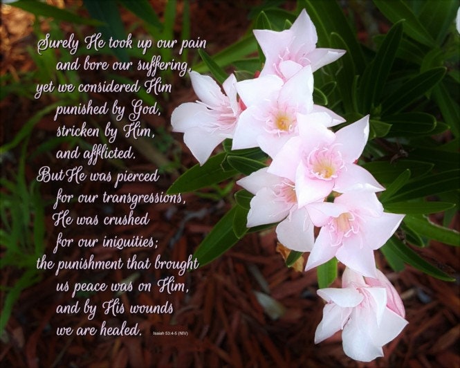Isaiah 53:4-5 NIV by His Wounds We Are Healed Scripture Art select a ...
