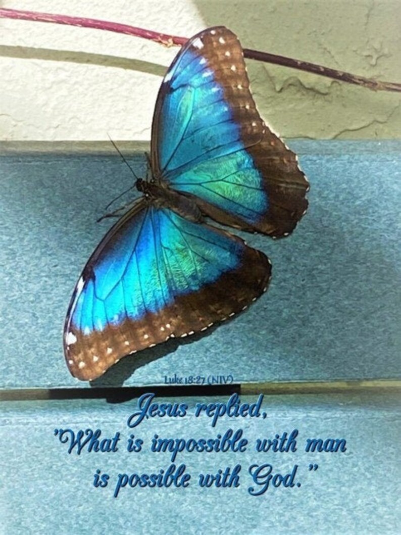 What is Impossible With Man is Possible With God Butterfly - Etsy