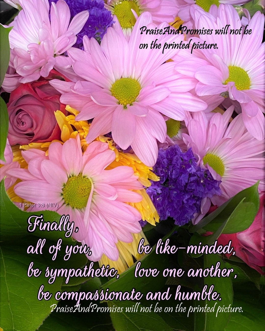 Be Sympathetic, Compassionate and Humble - 1 Peter 3:8 NIV - Pink ...