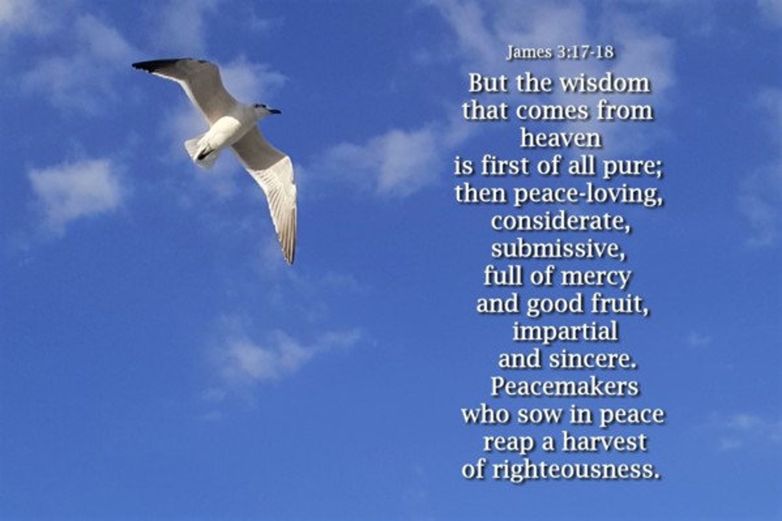 Wisdom From Above Bird With Scripture James 3:17-18 Select - Etsy