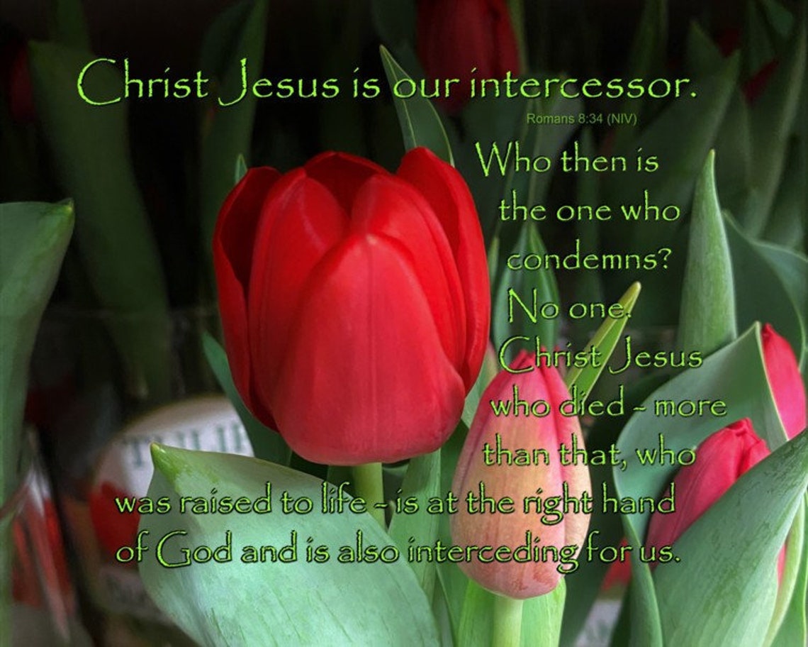 Romans 8:34 - Christ is Your Intercessor - Scripture Art - Red Tulip ...
