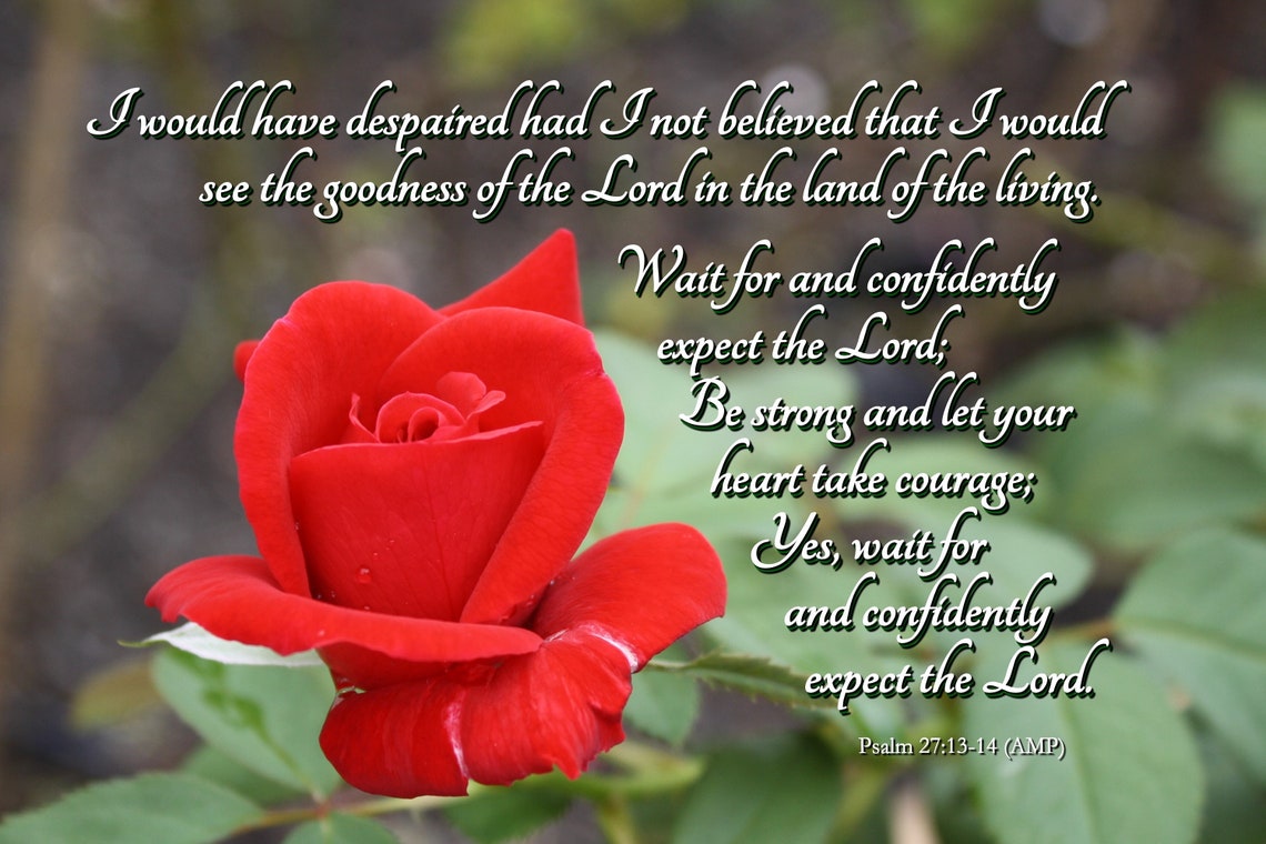 Wait for God - Scripture Art - Psalm 27:13-14 - Red Rose Select a Size ...