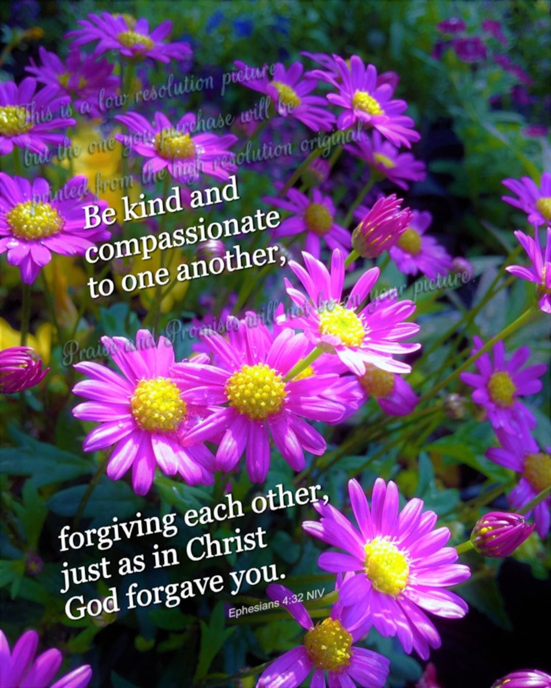 Be Kind, Compassionate and Forgiving Daisys Scripture Art Photo Free ...
