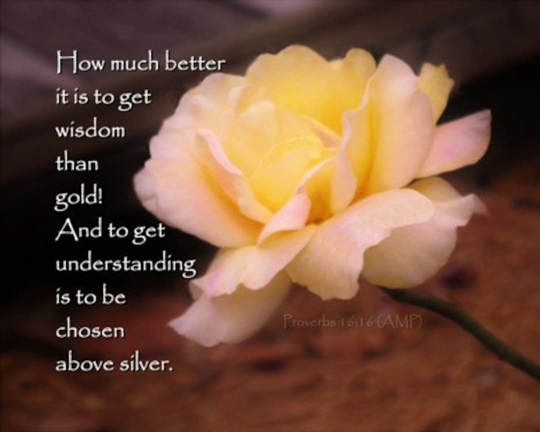 Get Wisdom and Understanding - Proverbs 16:16 AMP - Scripture Art ...