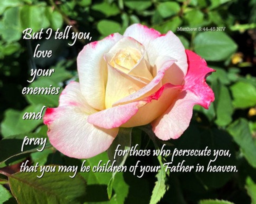 Pray for Your Enemies Scripture Art Matthew 5:44-45 NIV Pink and Yellow ...