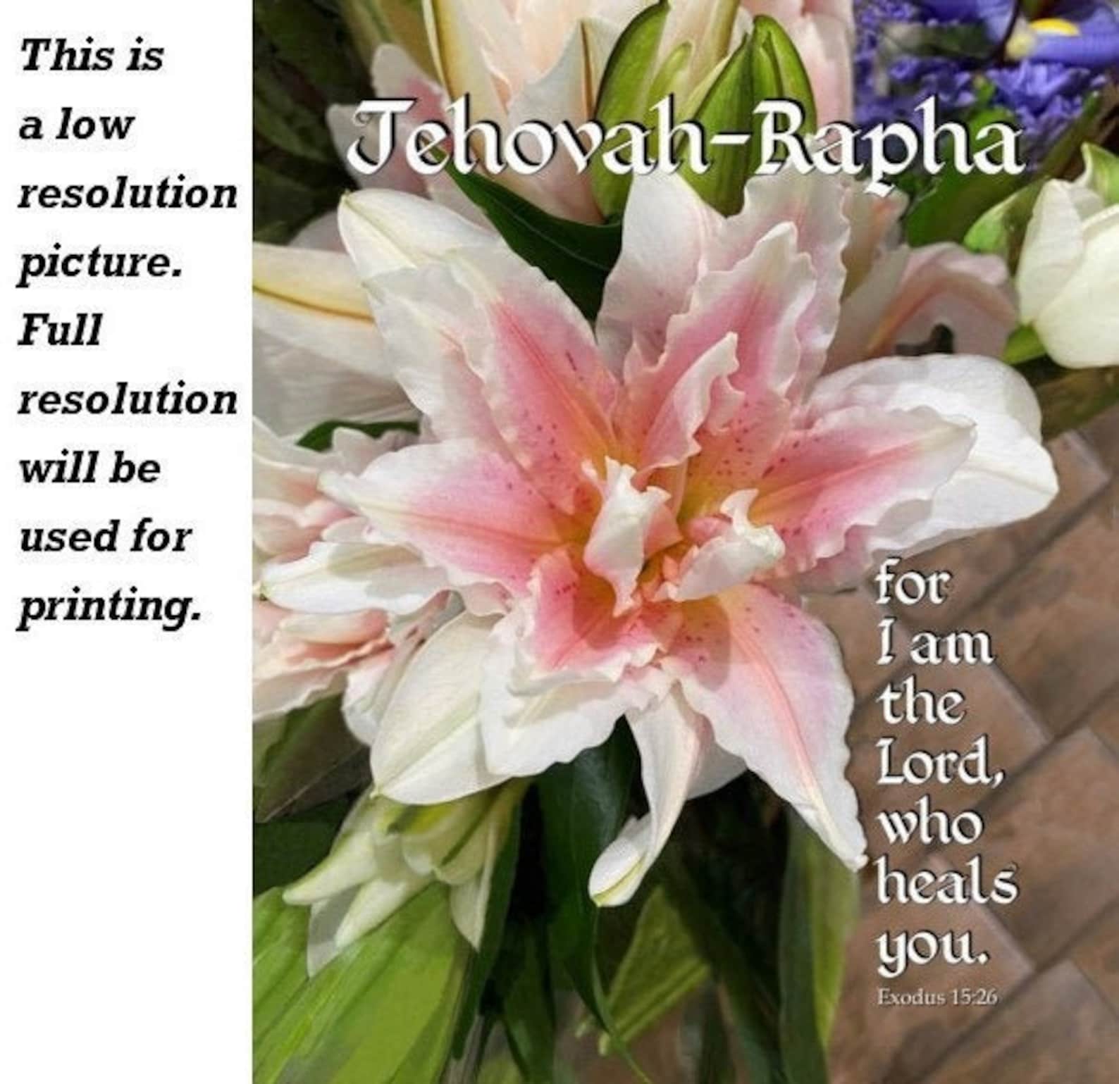 Jehovah-rapha - Scripture Art - From Exodus 15:26 Select a Size Photo ...
