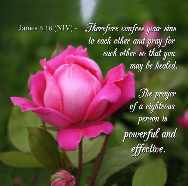Prayer is Powerful and Effective Pink Rose With Scripture James 5:16 ...