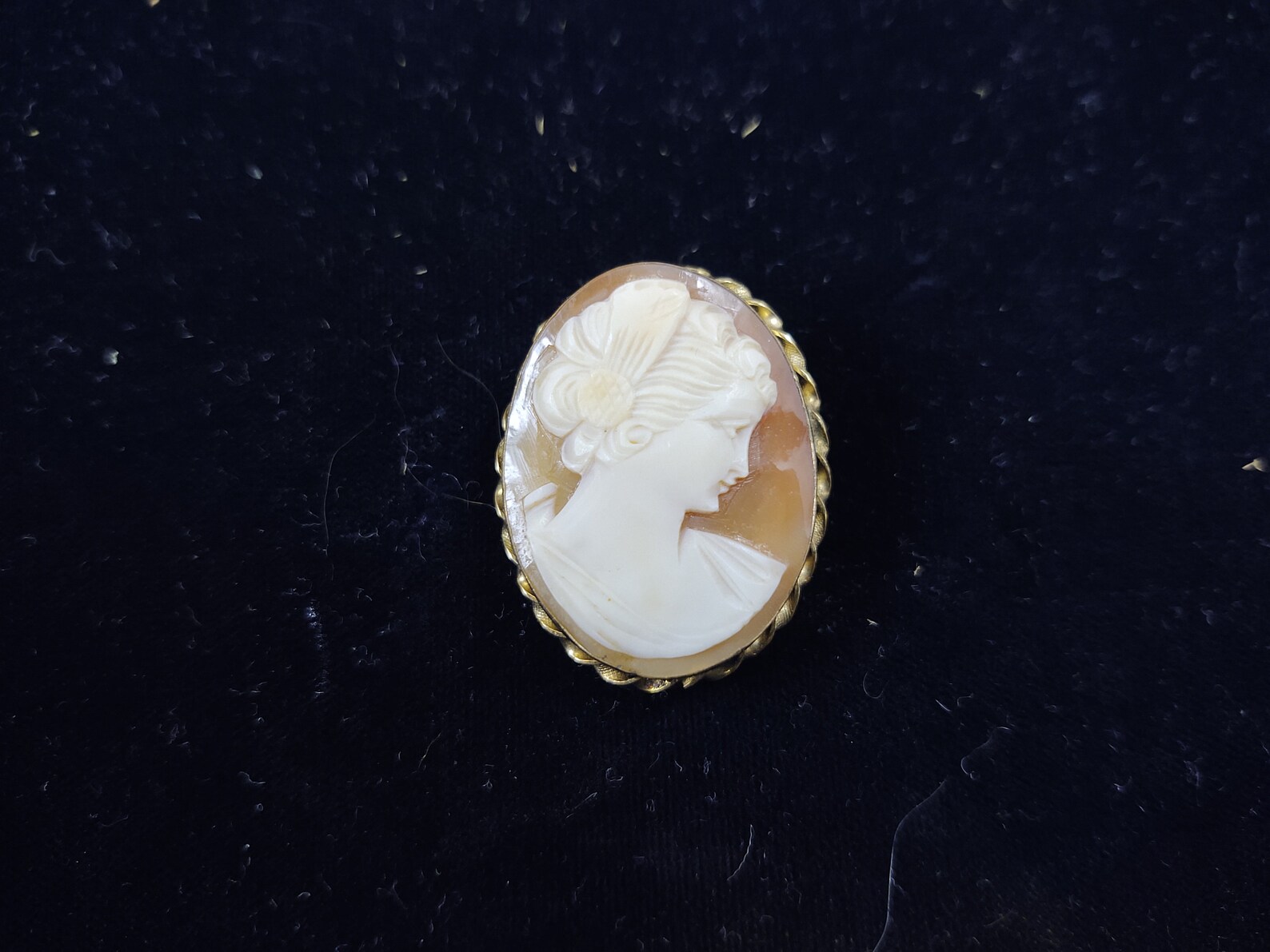 Shell Carved Cameo in 12k Gold Electroplated Frame, Can Be Worn as a ...