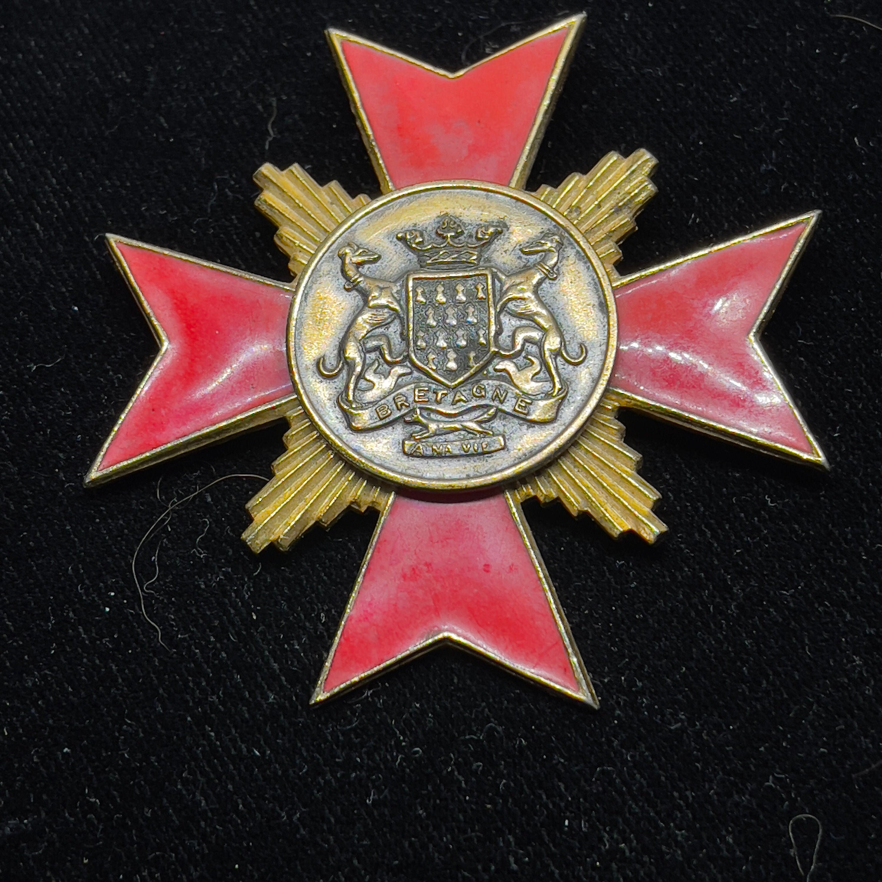 Large Heraldic Brooch Center is Round Like a Coin Coat of | Etsy