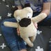 Pug Dog PDF Soft Toy Sewing Pattern - Etsy