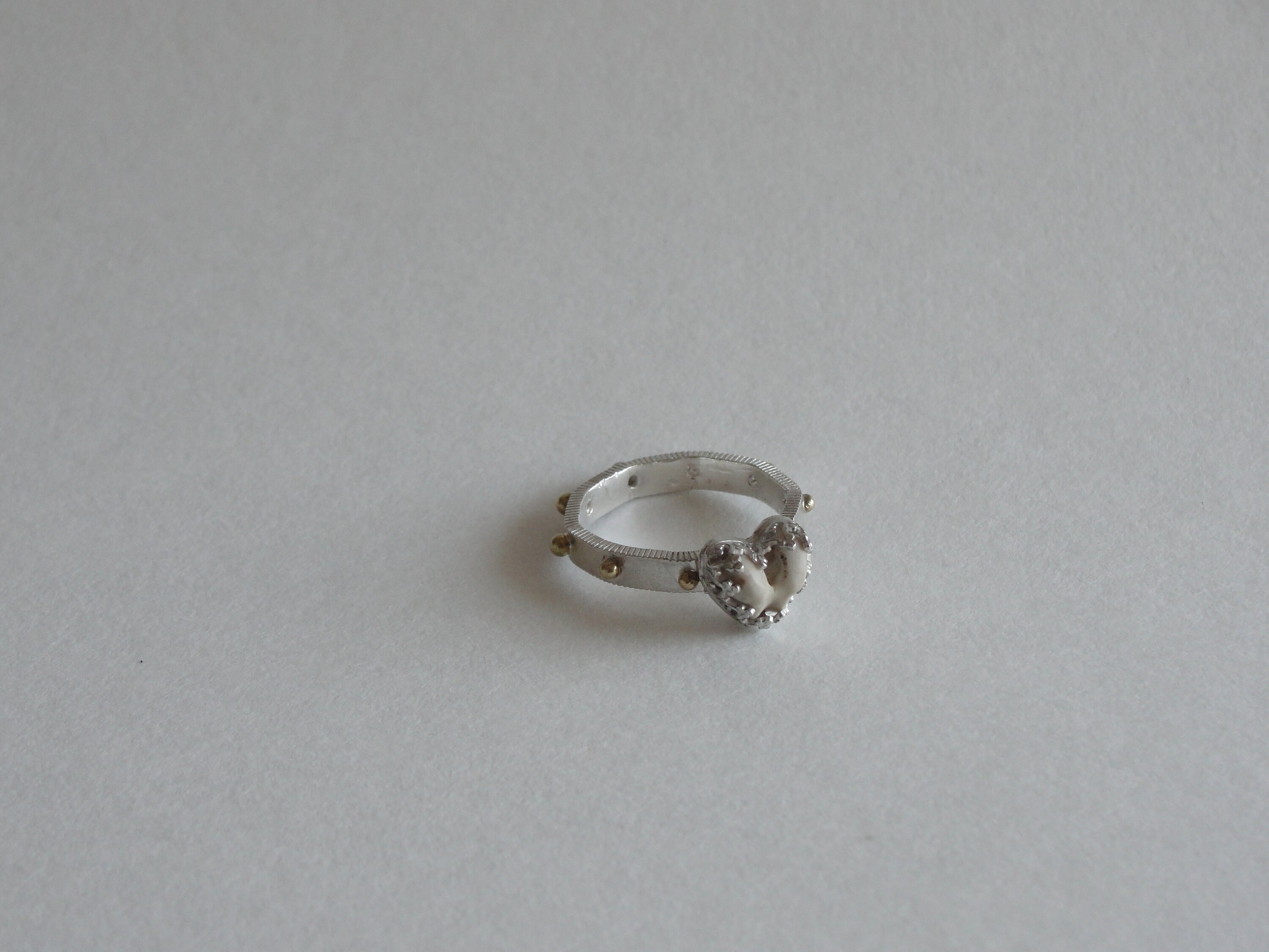 Heart-shaped Rodent Bone From Owl Pellet Set in Sterling Silver With ...