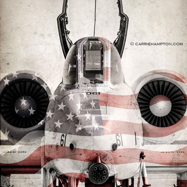 A10 Warthog - Etsy