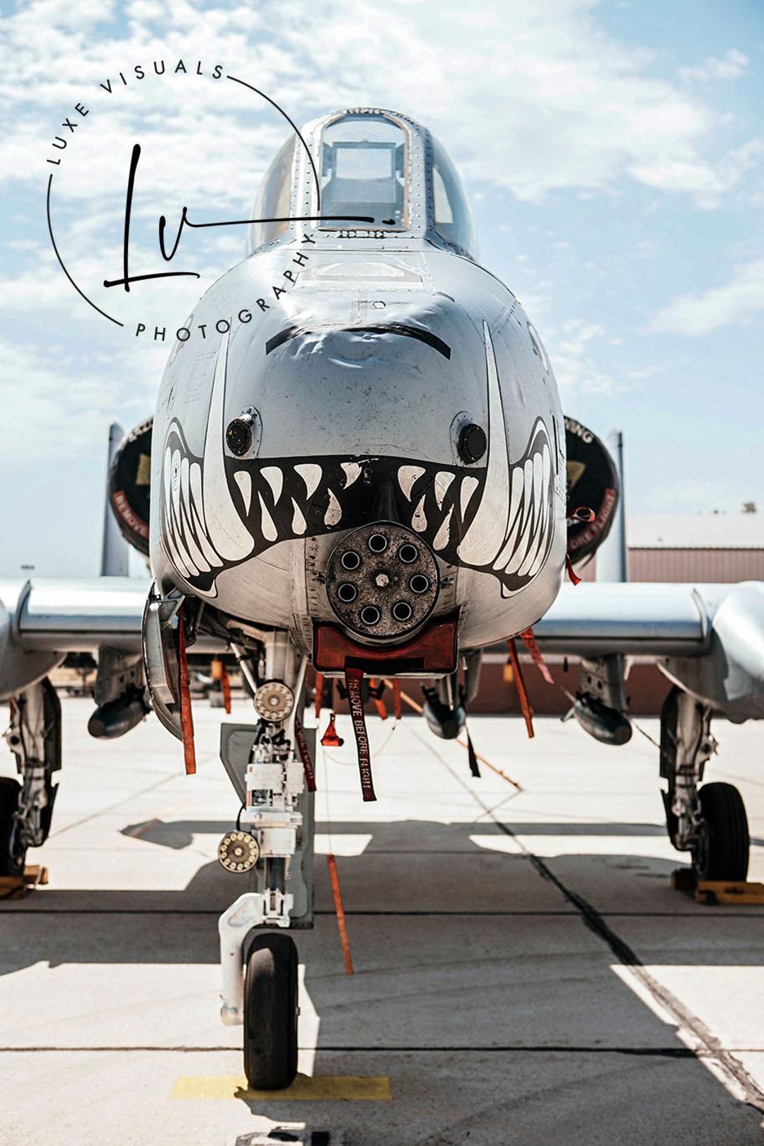 A10 Warthog Photo, A10 Warthog Poster, Military Fighter Jet, GAU ...