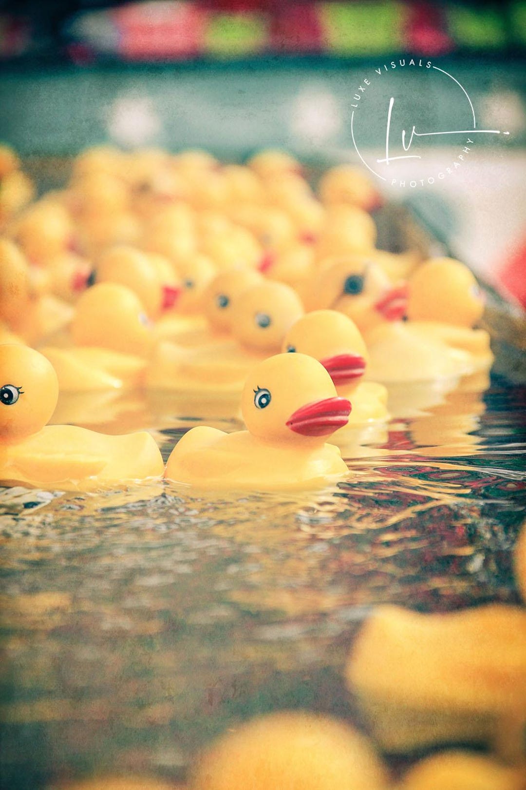 Rubber Ducks Picture, Rubber Duckies Photo, Carnival Art, Nursery Decor ...